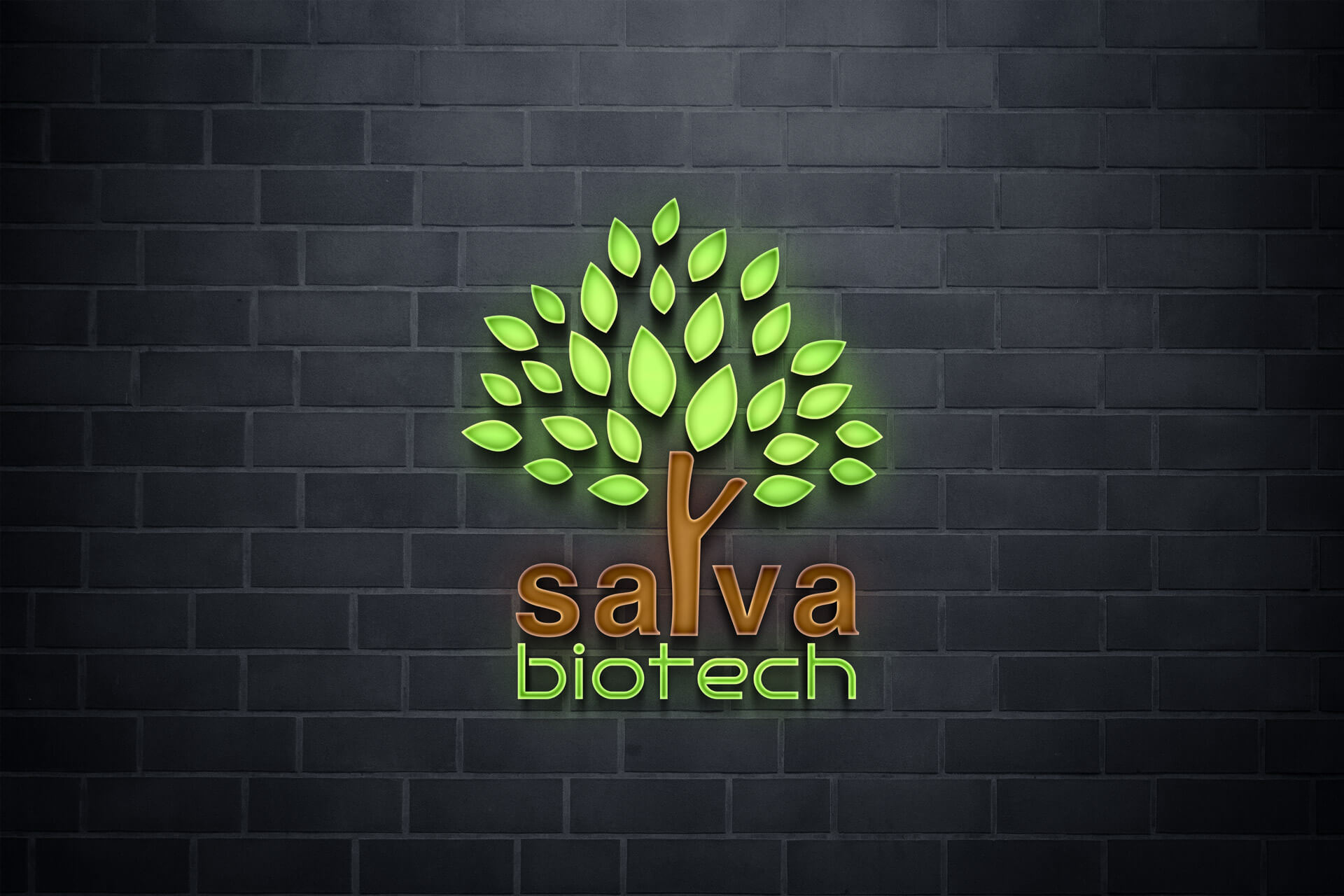 Satva Biotech | Archimage Creative Mumbai